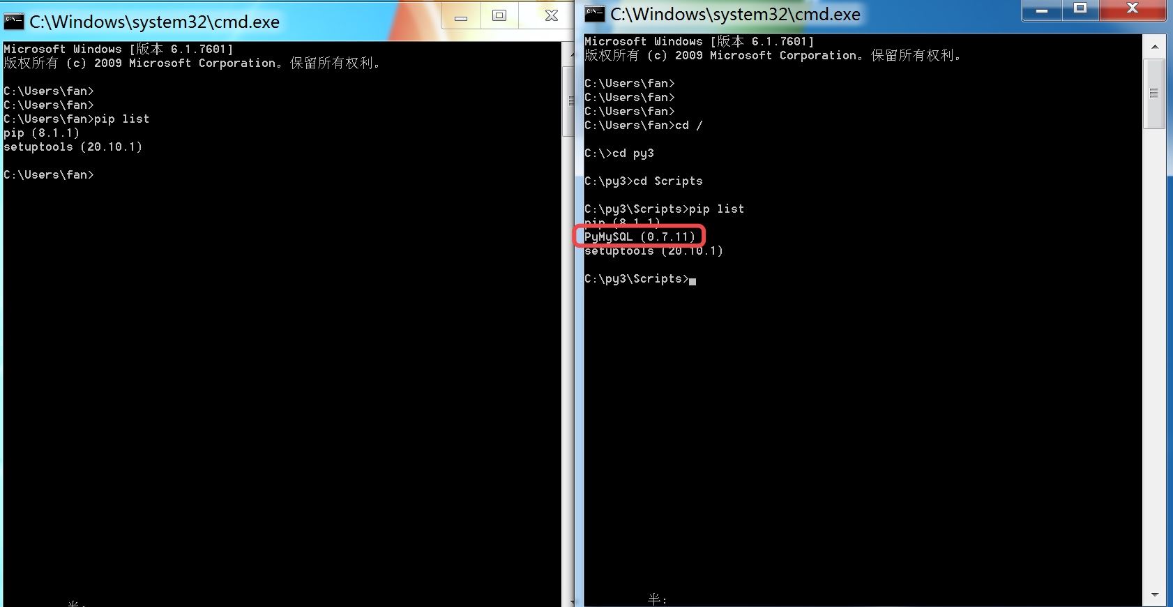 Python3 venv 