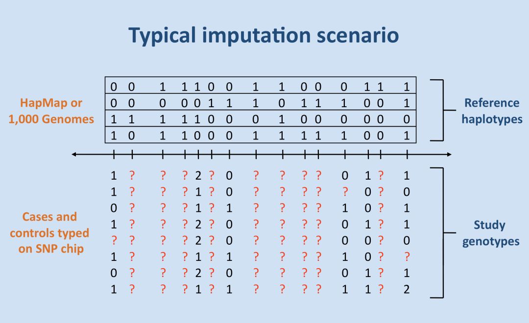  IMPUTE2 